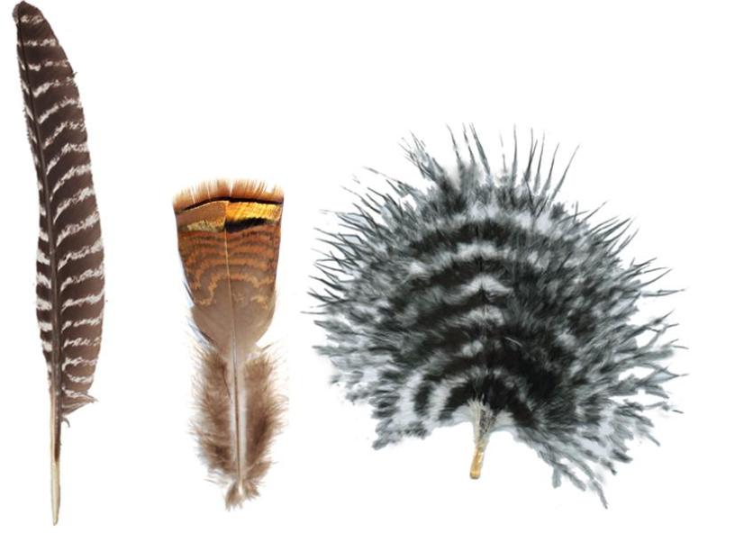 ON PINS AND NEEDLES | BY THE GRADUATE STUDENTS OF FASHION AND TEXTILE ...